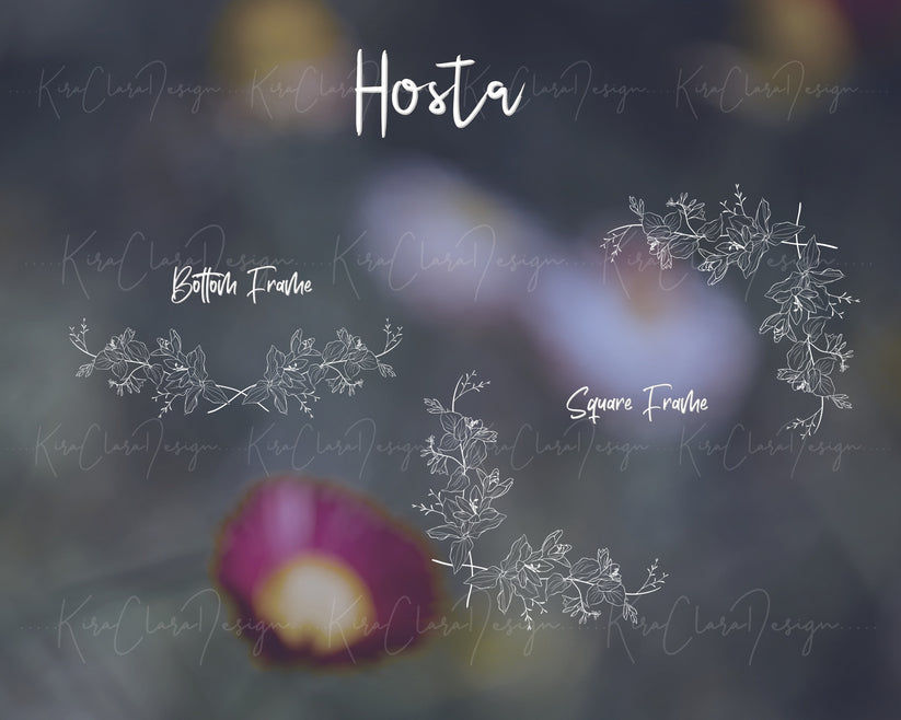 Hosta Plant (Plantain Lily) Flower Border Frame & Bottom Frame Clipart ...